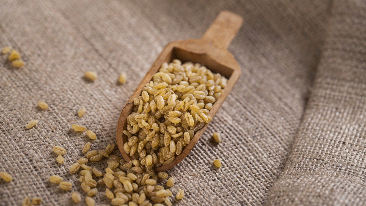 Duru Bulgur ve KMÜ iş birliğiyle ata tohumu Ahmet Buğdayı Projesi ...